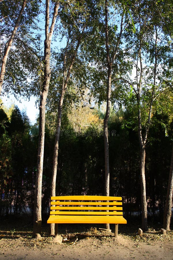 Park chair stock image. Image of environment, outdoors - 45953933