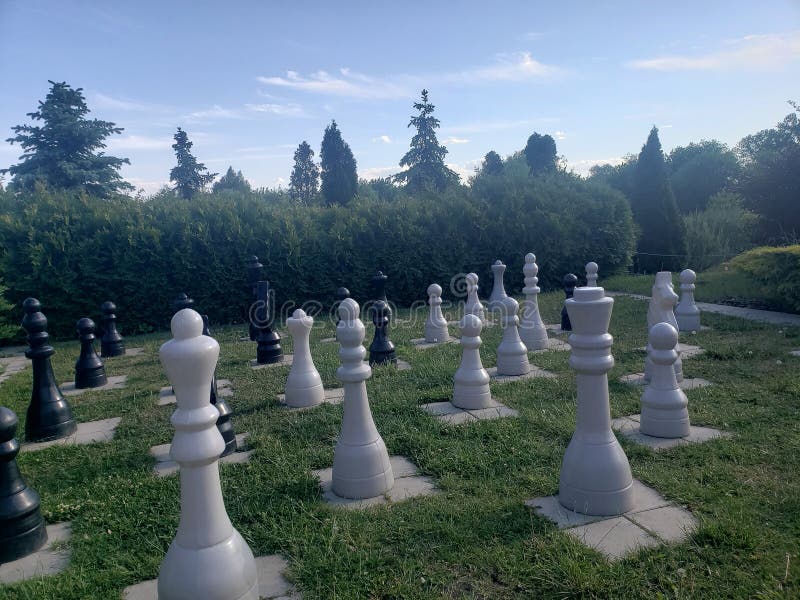 Large Chess on the Grass in a Park Area Stock Image - Image of ...
