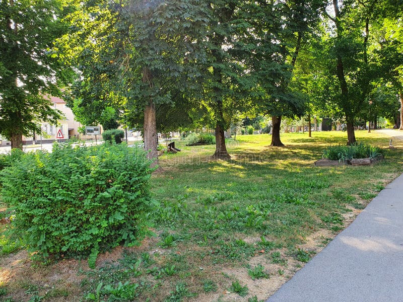 Park in City of Dugo Selo stock photo. Image of park - 227308560