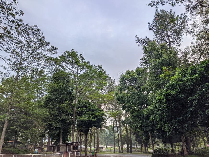 Coban Rondo Waterfall EastJava Stock Image - Image of stones, east ...