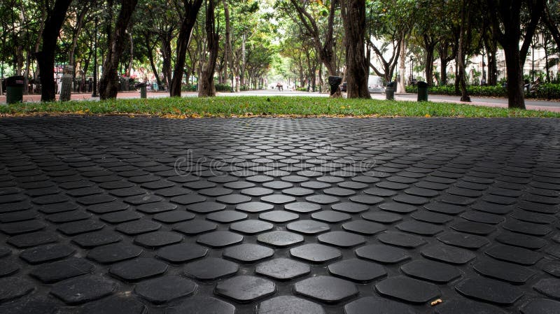 A Park with a Cobblestone Path and Trees. Stock Image - Image of path ...