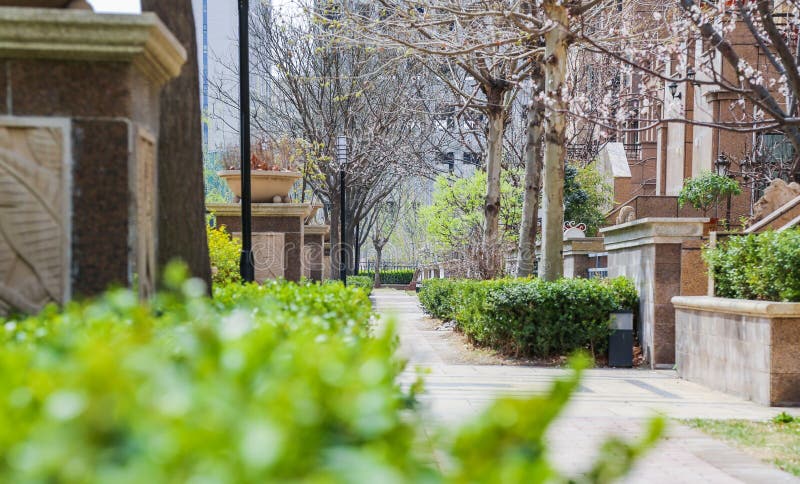 Park Community Building Natural Scenery Stock Image - Image of house ...