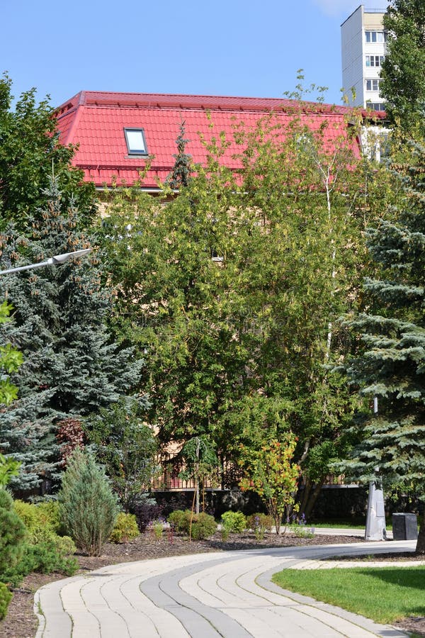 Park with Coniferous and Deciduous Trees in Moscow, Russia Editorial ...