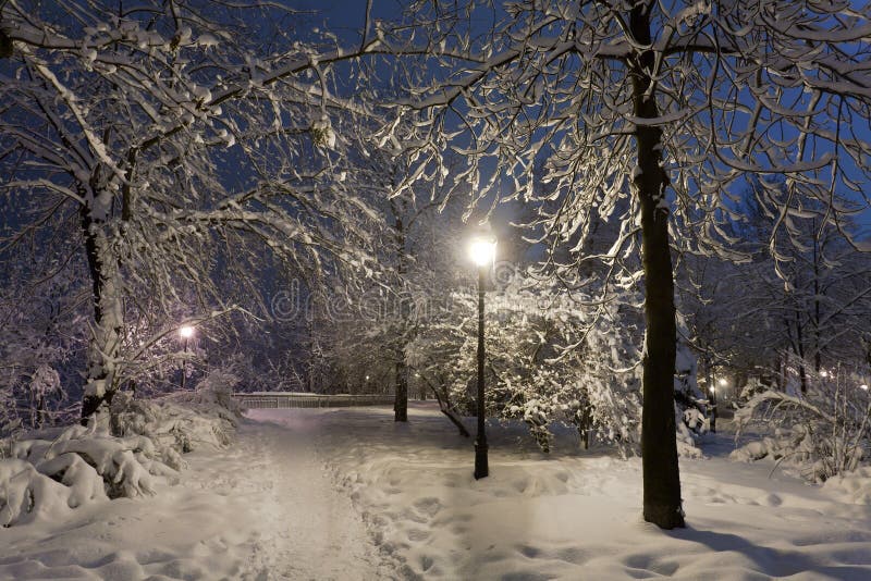 Park Covered with Snow at Night. Stock Image - Image of landscape ...