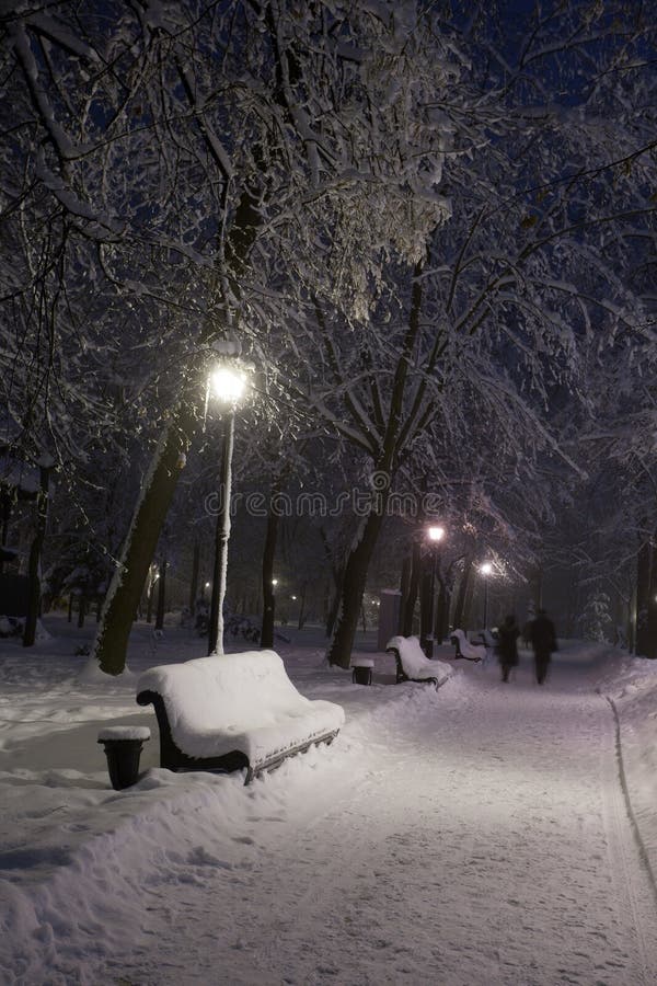 Park Covered with Snow at Night. Stock Image - Image of january ...