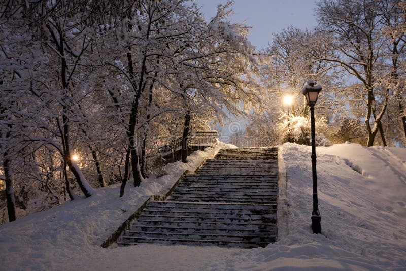 Park Covered with Snow at Night. Stock Photo - Image of nature, alley ...