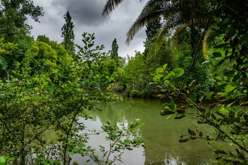 Park in Curia; Tamengos; Anadia; Portugal. Stock Photo - Image of ...