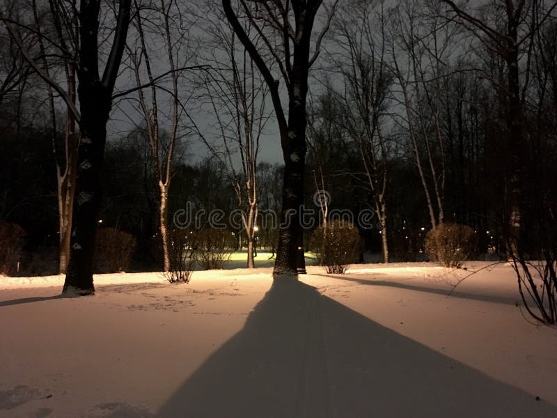 Park in the Dark Falling Shadow of a Tree Stock Image - Image of season ...