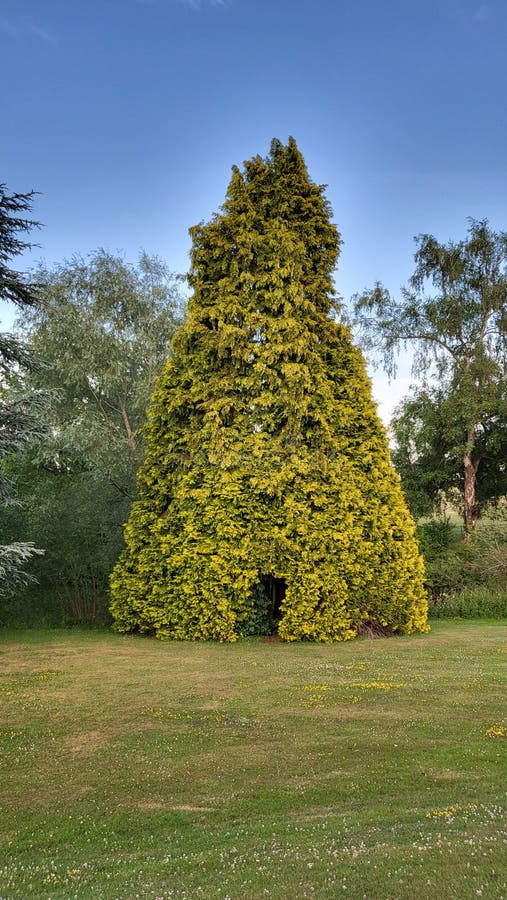 Park with Decorative Grass Tower Stock Image - Image of tree, summer ...