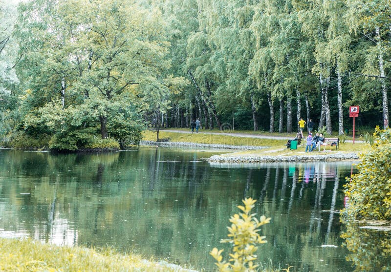 Park stock image. Image of overgrown, scenic, rest, recreation - 50953393