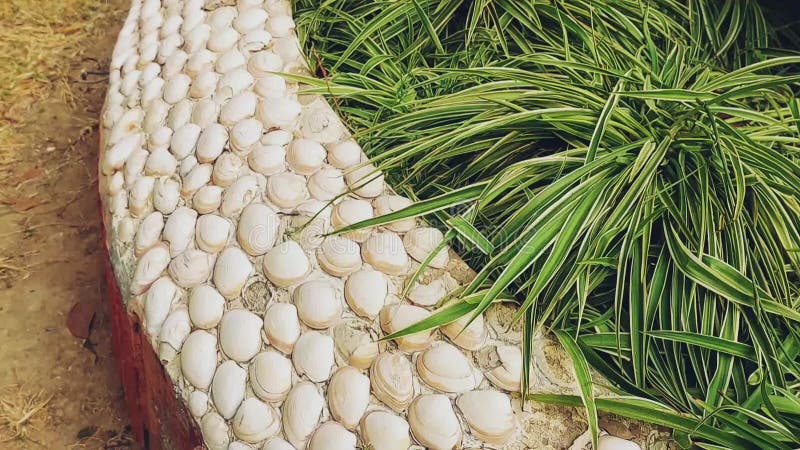 A Park Display of Plant Beds Designed in the Shape of Sea Shells Stock ...