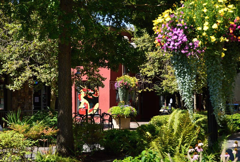 Park in Downtown Eugene in Summer, Oregon Stock Image - Image of bloom ...