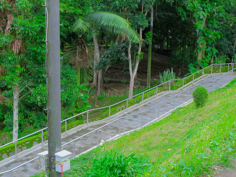 Park with a Downward Path Surrounded by Green Scenery Stock Photo ...