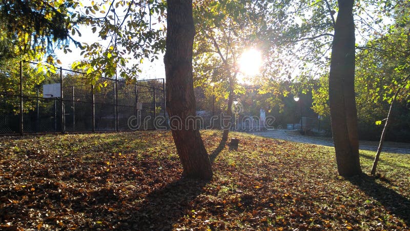 Park of Dupnitsa editorial image. Image of dupnitsa - 152463305