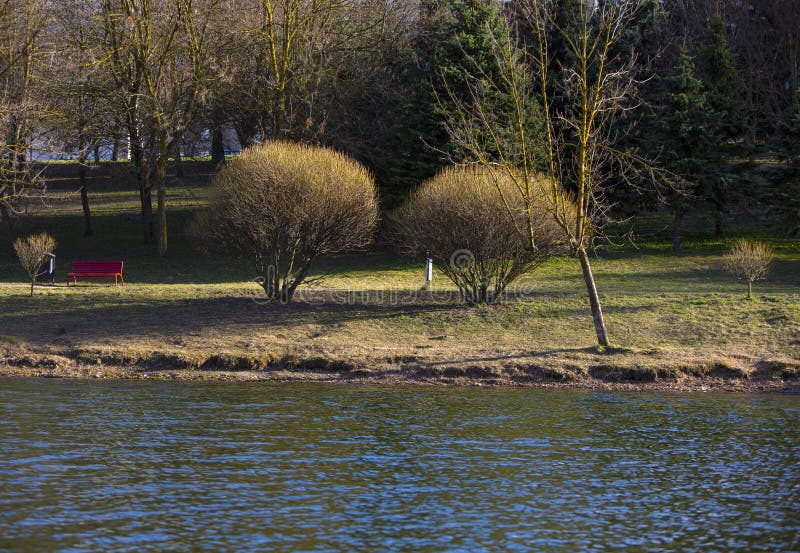 Park in early spring . stock photo. Image of fruit, diced - 179871452
