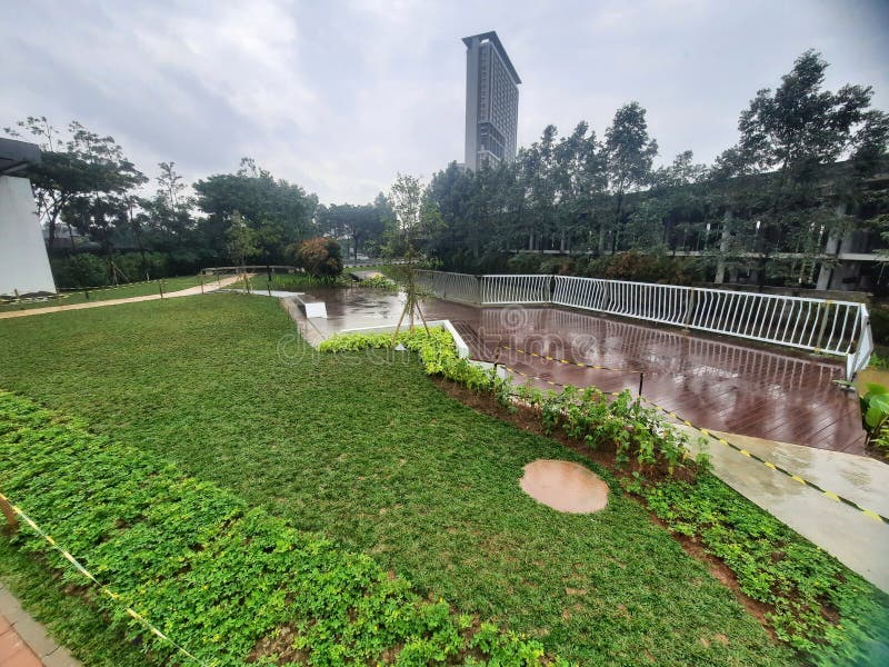 Park on the Edge of the River after the Rain Stock Photo - Image of ...