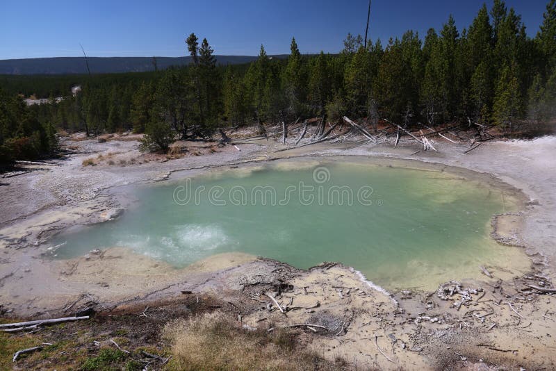 Park Emerald Springs Norris Geyser Basins Yellowstone Stockfoto - Bild ...