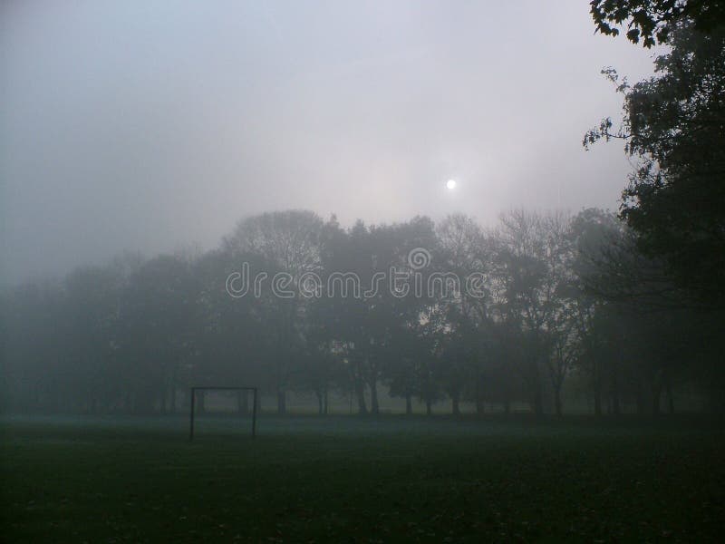 Park stock photo. Image of empty, light, park, trees - 50565010