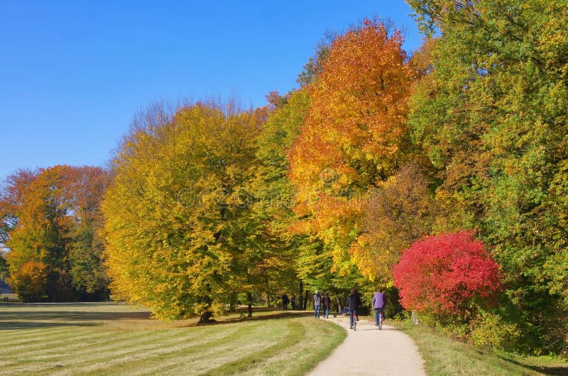 Park in fall stock image. Image of park, leaves, muskau - 27296001