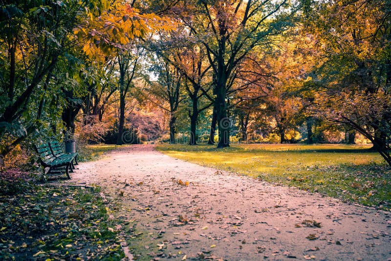 Park in fall stock photo. Image of autumn, tree, leaves - 27596436