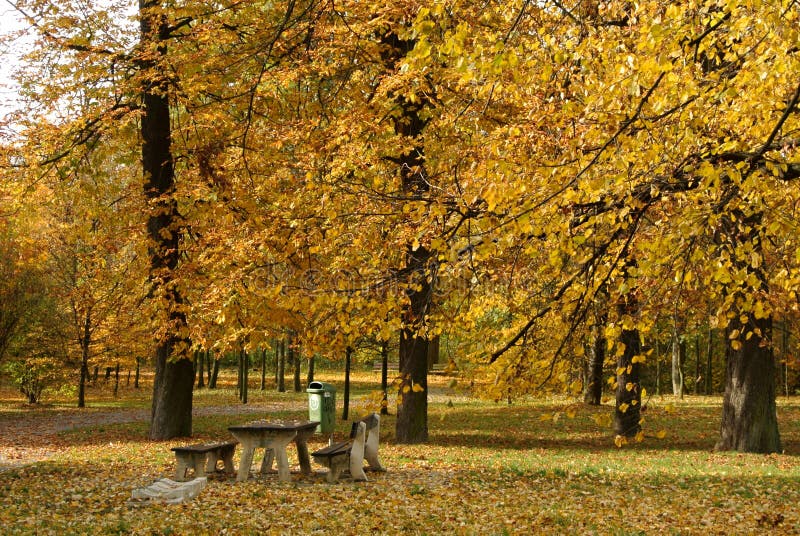 Park in fall or autumn stock photo. Image of background - 85778440
