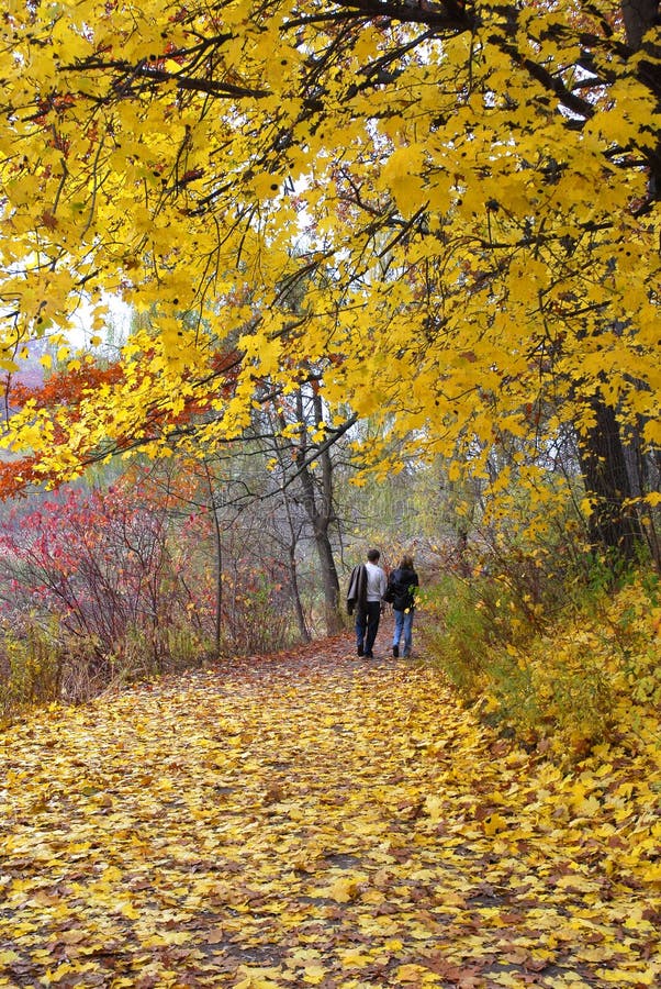 Park with fall colors editorial image. Image of colors - 35441010