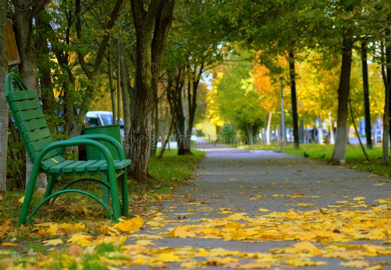 Park in the fall stock image. Image of early, foliage - 147490069