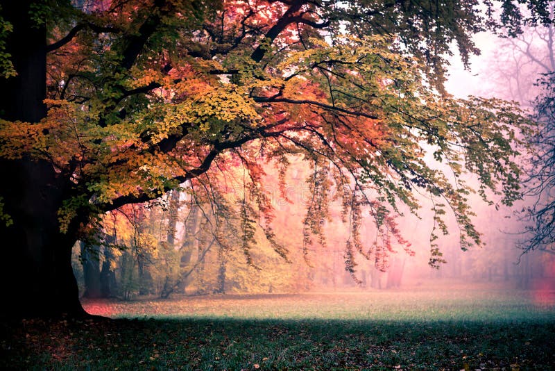 Park in fall stock photo. Image of park, season, outdoors - 32032048