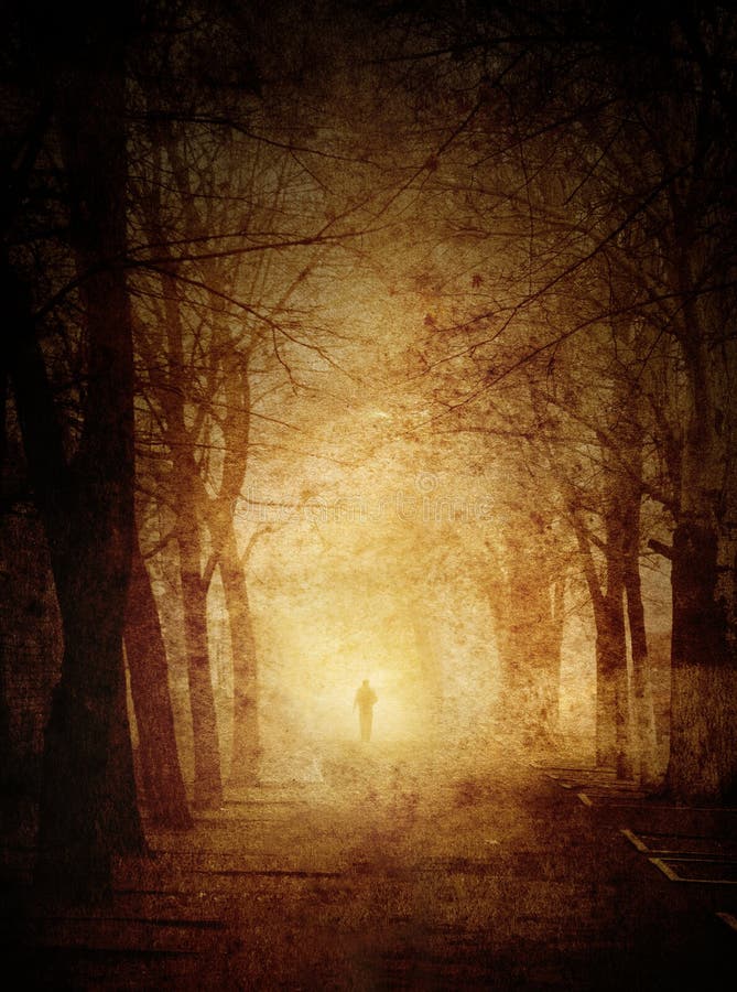 Park in a Fog. Gothic Scene. Stock Image - Image of night, manuscript ...