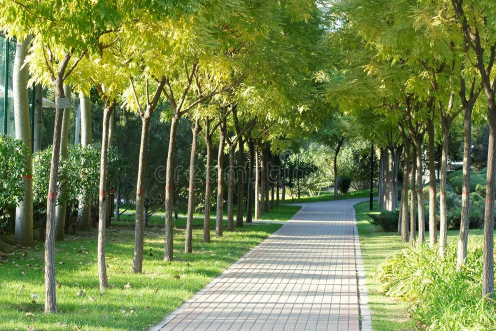 Park footway stock photo. Image of footway, path, road - 27749452