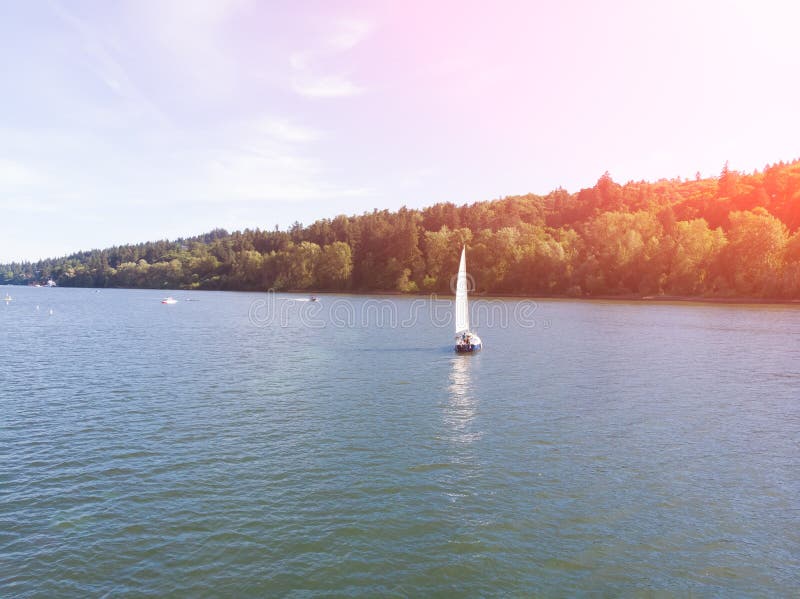 Park or Forest by the River at Sunset, Nature Stock Photo - Image of ...