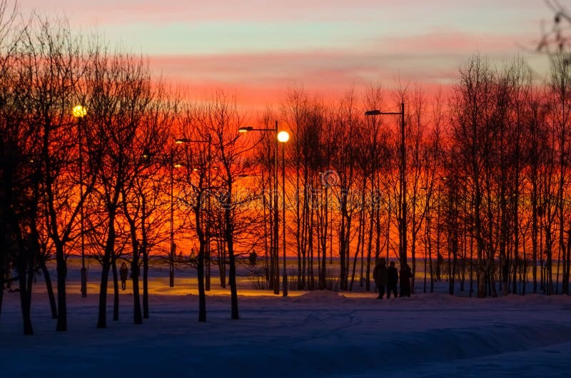 Park Forest Trees Sunset Sky Orange Sunrise Evening People Stock Image ...