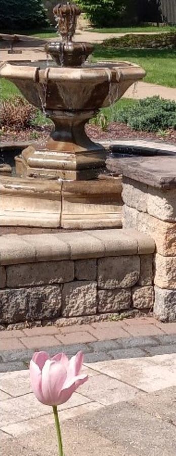 Park fountain stock photo. Image of building, spouting - 277660814