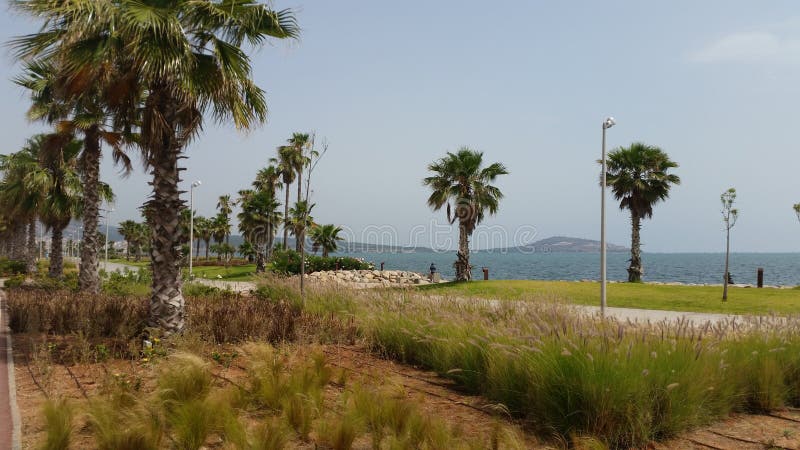 Park in Front of Marchika Lagoon , Morocco . Stock Image - Image of ...