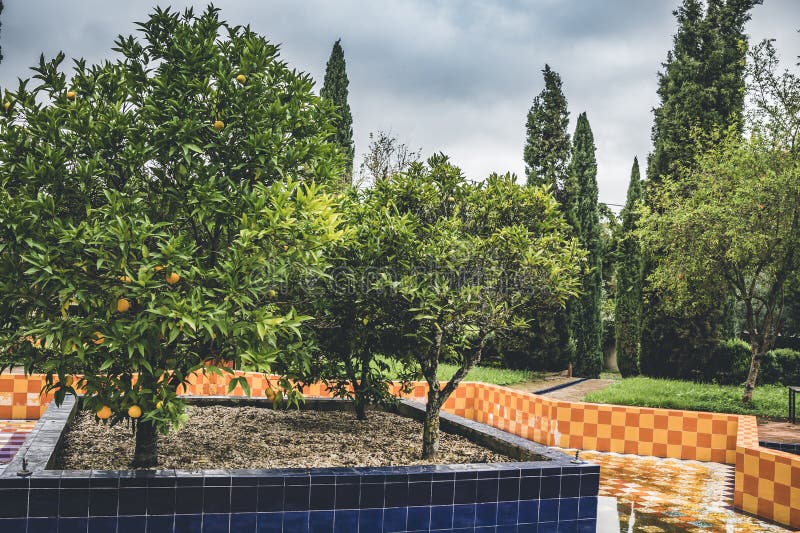 Park or Garden with Growing Grass and Trees Set in Tiled Squared Floor ...