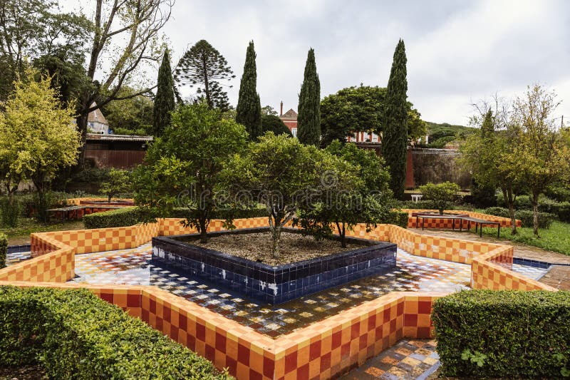 Park or Garden with Growing Grass and Trees Set in Tiled Squared Floor ...