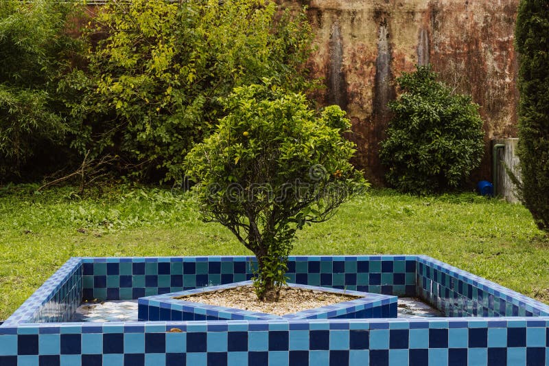 Park or Garden with Growing Grass and Trees Set in Tiled Squared Floor ...