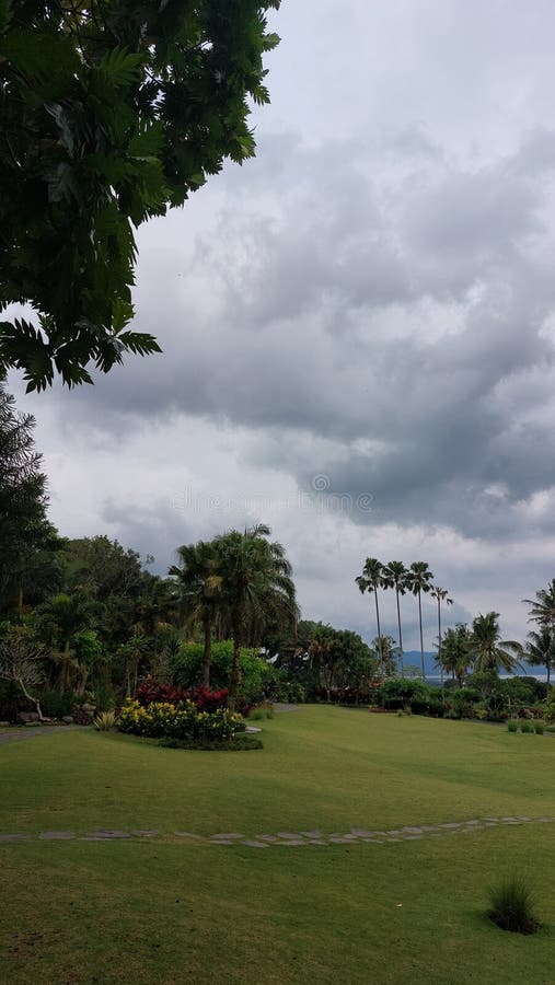 Park Garden View Aesthetic Green Cloud Sky Tree Free Peacefull Stock ...