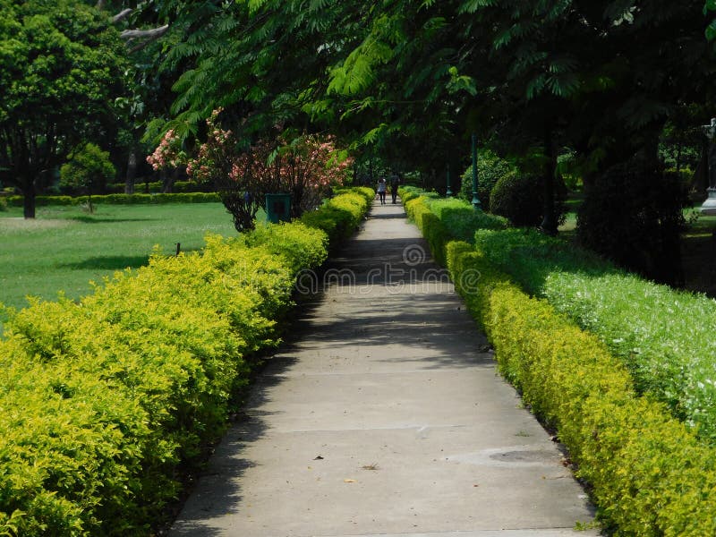 Greenry of park stock photo. Image of resort, tourists - 83128324