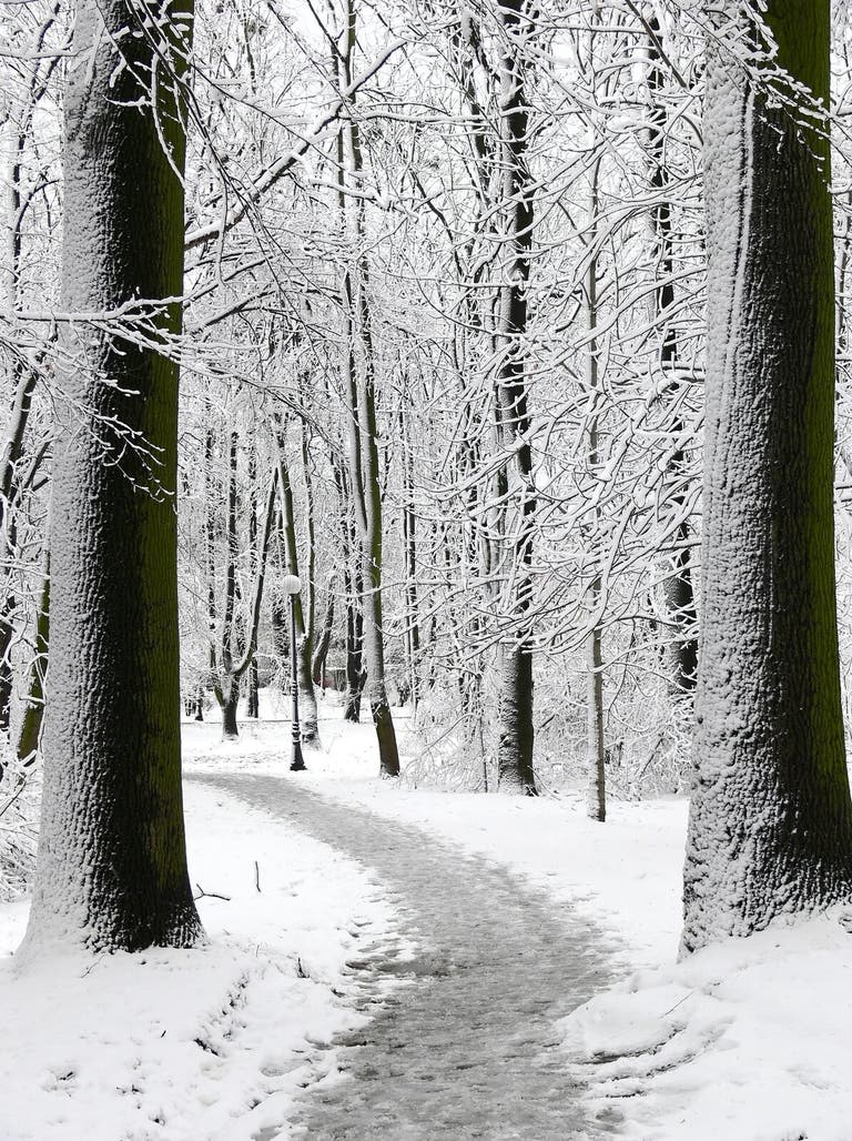 3,937 Alley Park Entrance Stock Photos - Free & Royalty-Free Stock ...