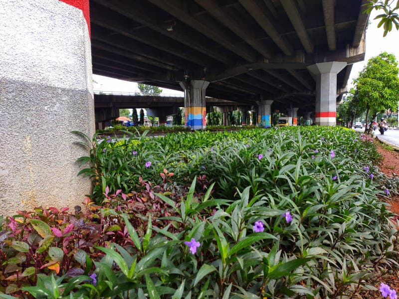 The Park Green Under Bridge Stock Image - Image of flower, grass: 210673617