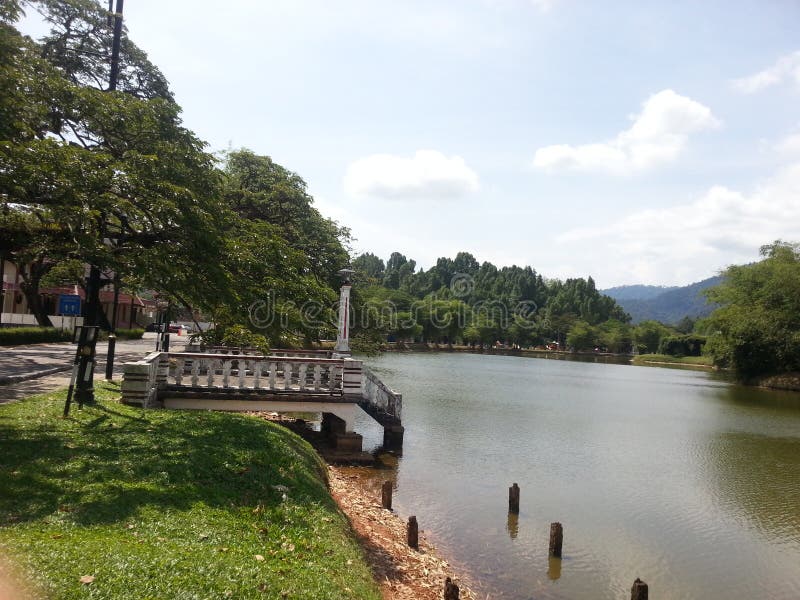 Cool View of the Forest in the Afternoon Stock Photo - Image of ...