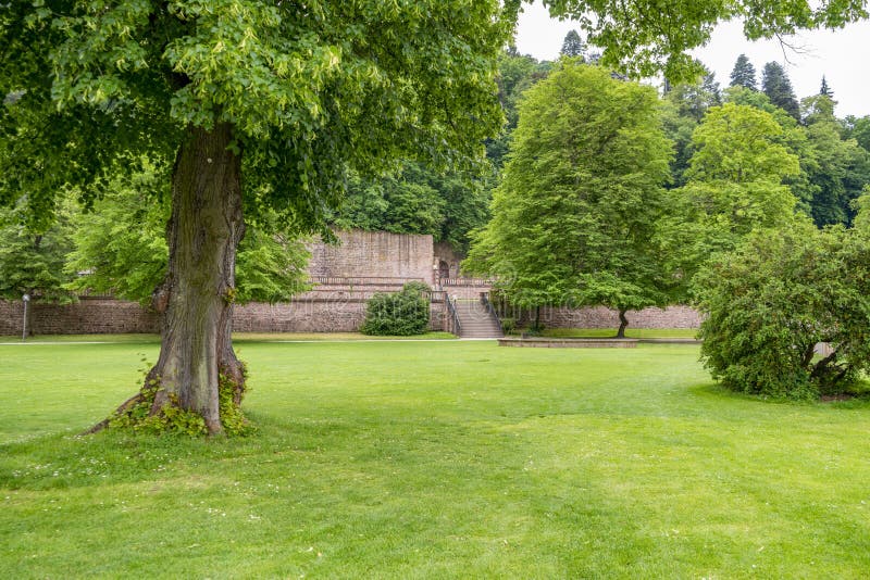 Park in Heidelberg stock photo. Image of grass, wall - 195630786