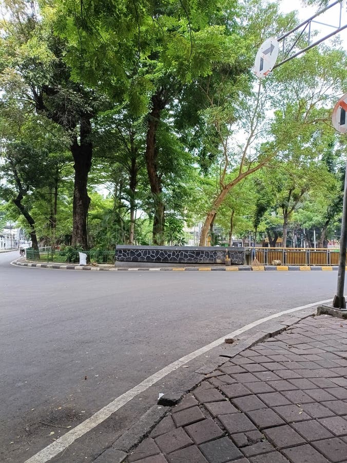 Park High Tree Intersection Peace Stock Photo - Image of high, peace ...