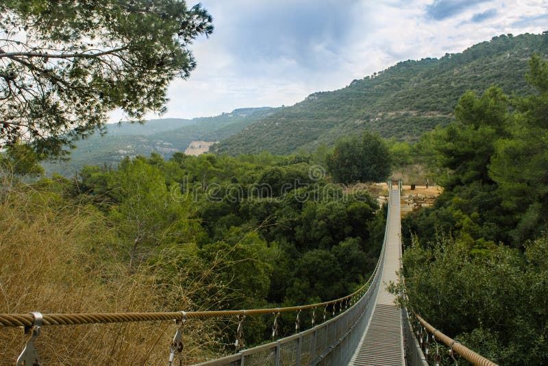 Park with Hinged Bridge. Israel Stock Image - Image of architecture ...