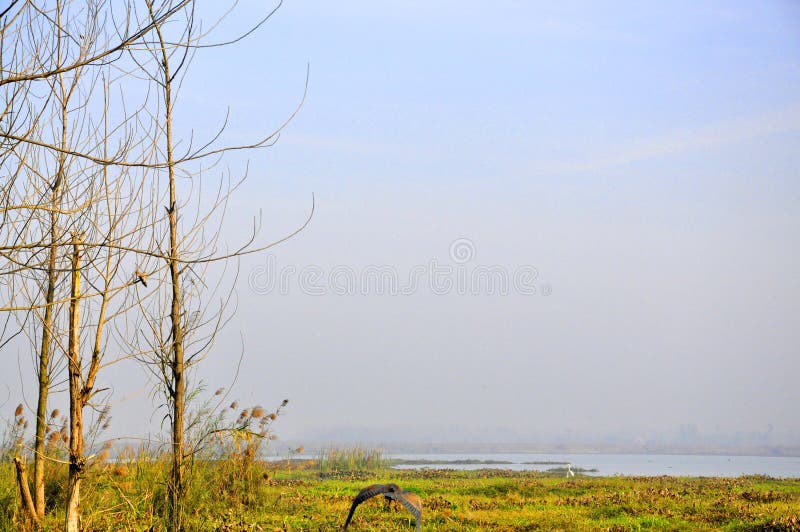 Park stock photo. Image of morning, bank, devimagesofpark - 91403804