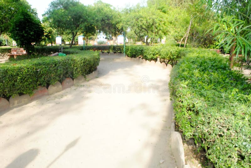 Park stock photo. Image of vegetation, grass, shrub, watercourse - 93080866