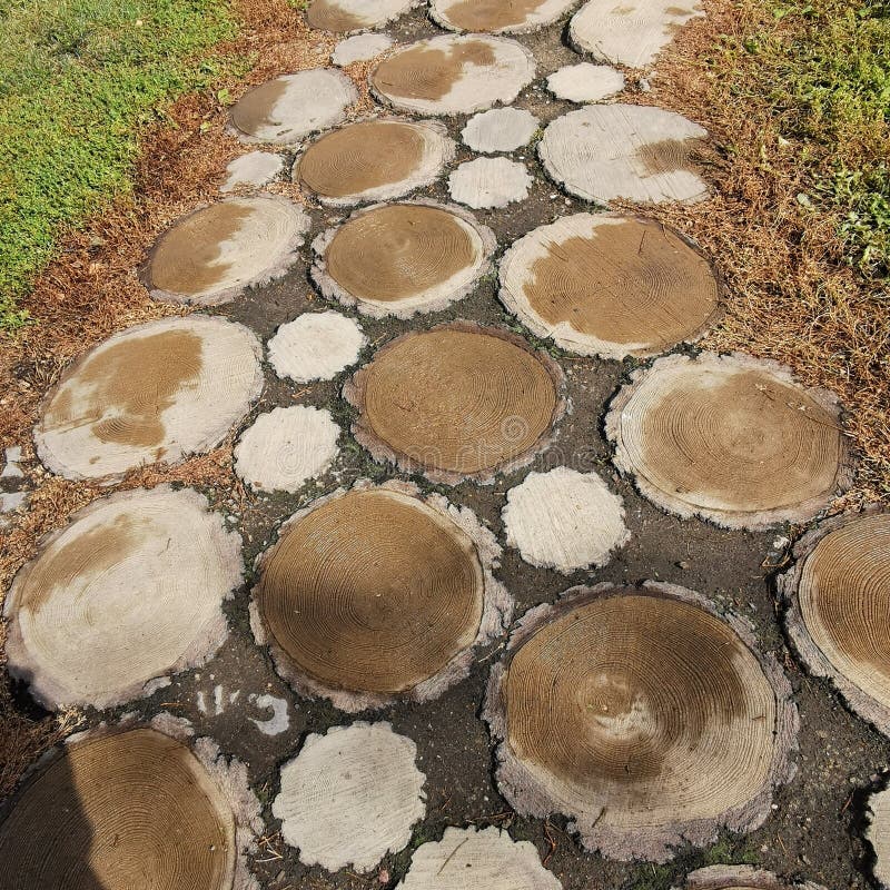 Park Infrastructure, Landscape Design. Walking Paths, Green Lawns with ...