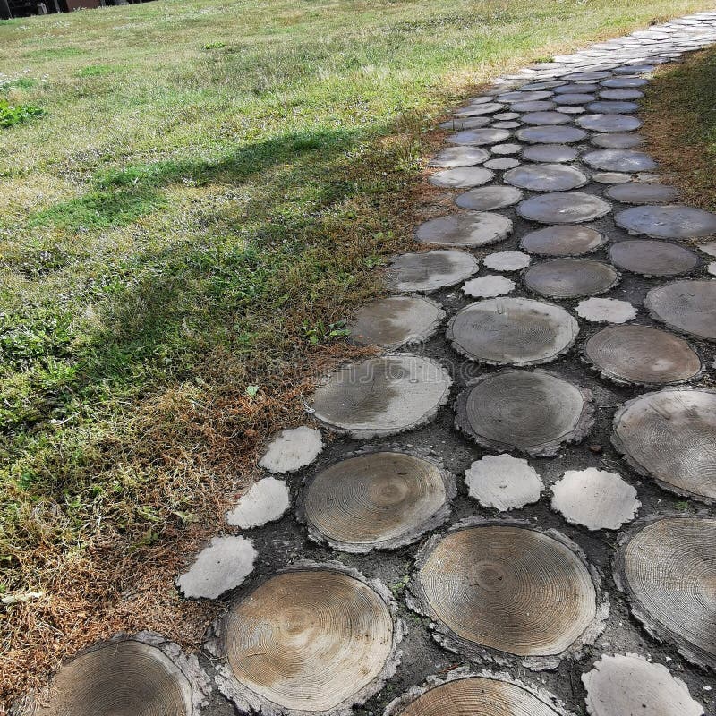 Park Infrastructure, Landscape Design. Walking Paths, Green Lawns with ...