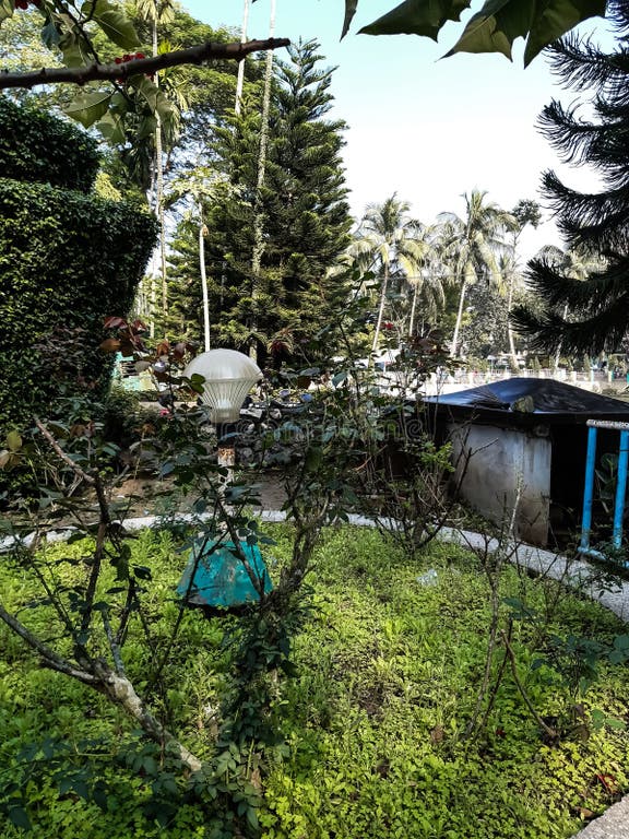 Park Inside Green Rose Tree and Another Tree Stock Image - Image of ...